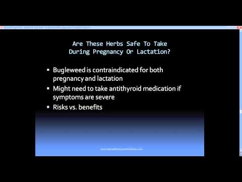 Bugleweed, Motherwort, and Graves' Disease