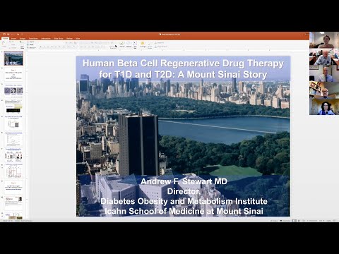 Human Beta Cell Regenerative Drug Therapy for T1D and T2D: A Mount Sinai Story