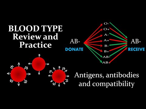 Blood Type | Review and Practice