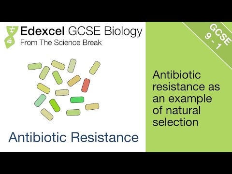 Edexcel GCSE Biology - Antibiotic Resistance and Natural Selection