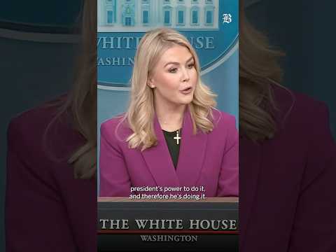 Karoline Leavitt on Trump federal grants, loans pause