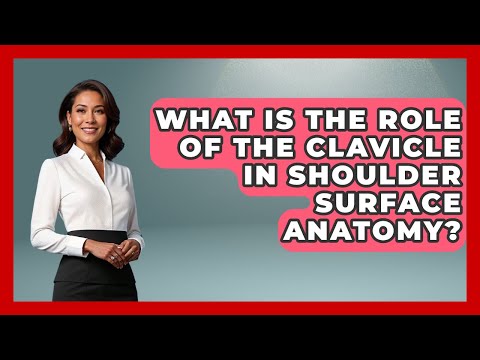 What Is The Role Of The Clavicle In Shoulder Surface Anatomy? - Drawing and Painting Academy