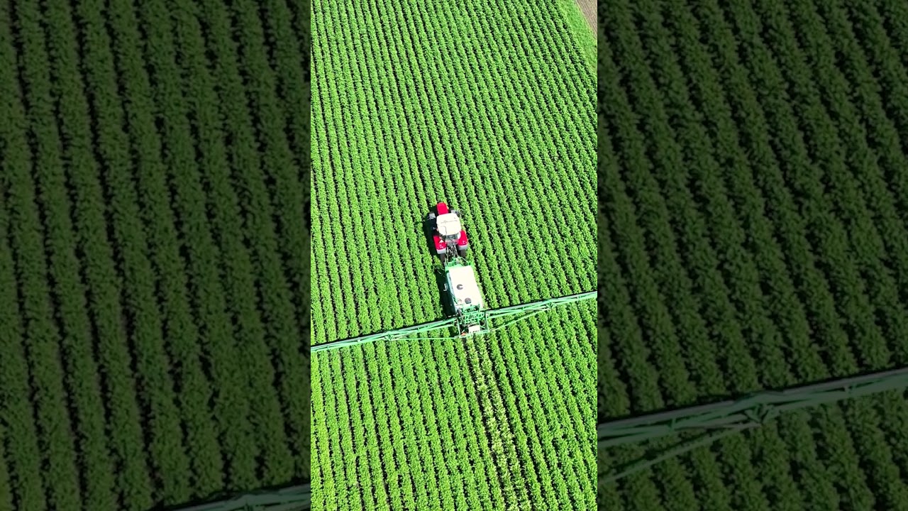 Things to Watch For All Season Long - A Spud Smart Roundtable Webinar