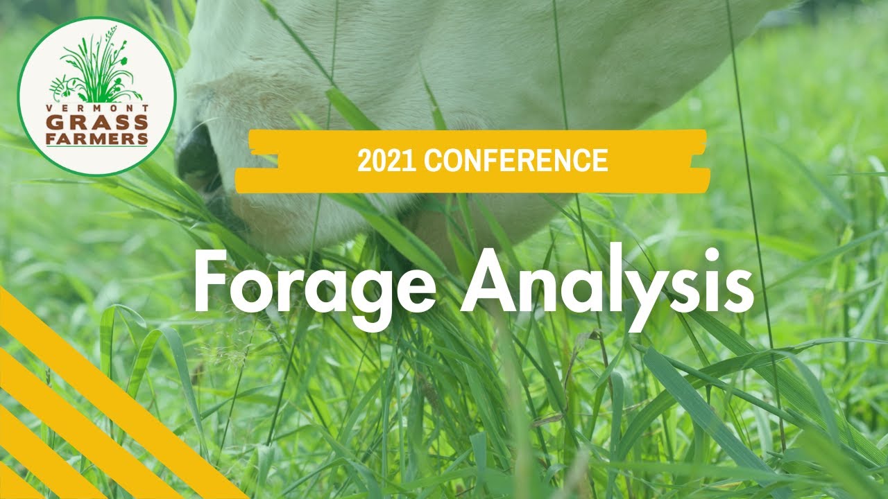 Understanding and Using Forage Analysis
