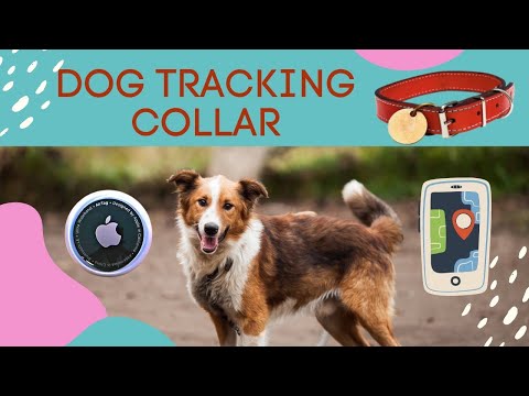 Is Apple AirTag The best GPS Dog Collar??