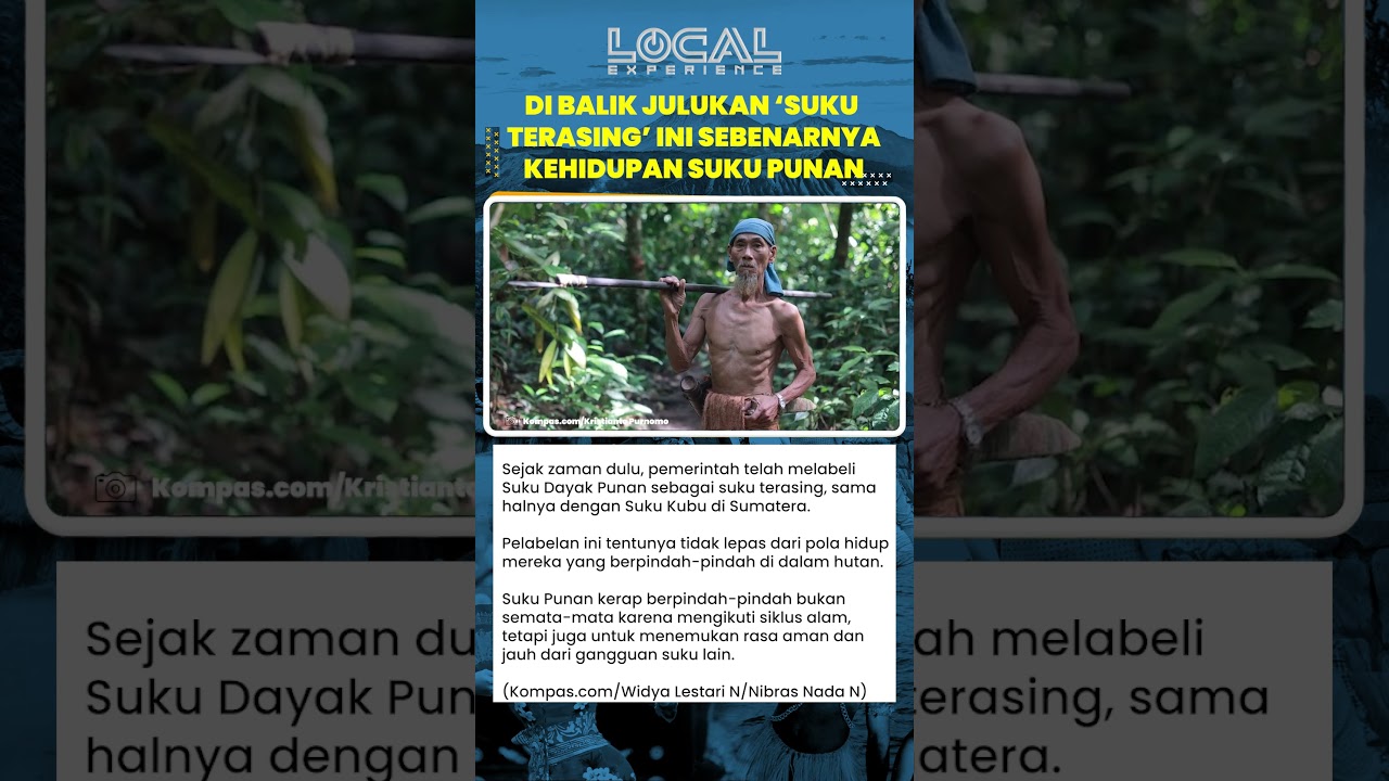 Di Balik Julukan 'Suku Terasing' Ini Kehidupan Sebenarnya Suku Punan ...