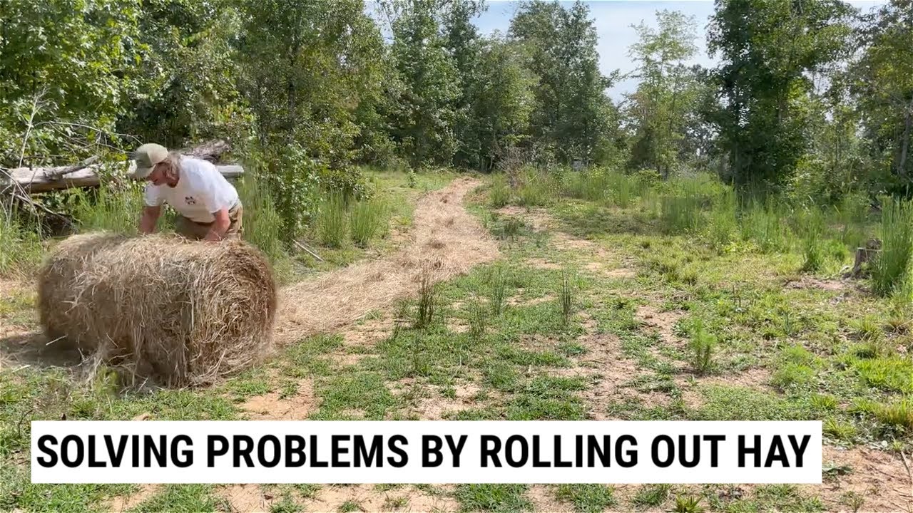 Easy Seeding and Erosion Control With Hay