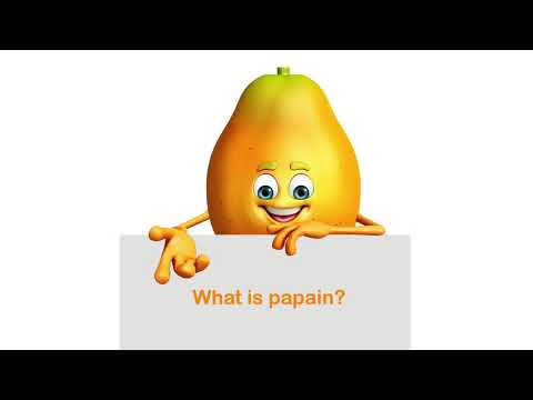 What is Papain?