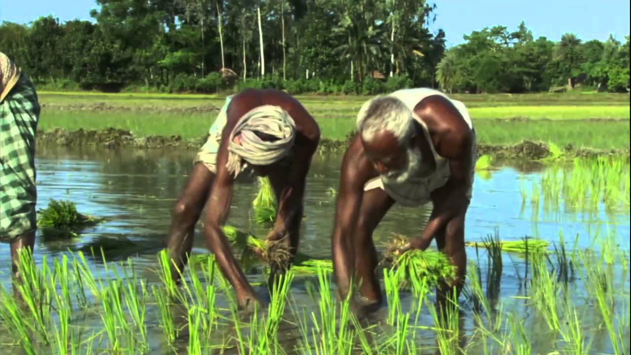 Ganges 2008 -  Episode 3 - BBC Documentary