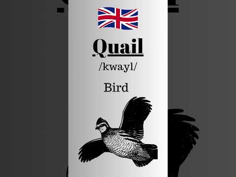 How to Pronounce Quail Correctly-British Accent #britishpronounciation #english