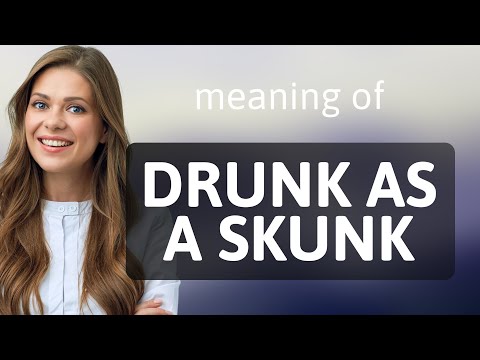 Understanding "Drunk as a Skunk" - English Idioms Simplified
