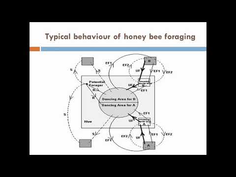 Artificial Bee Colony