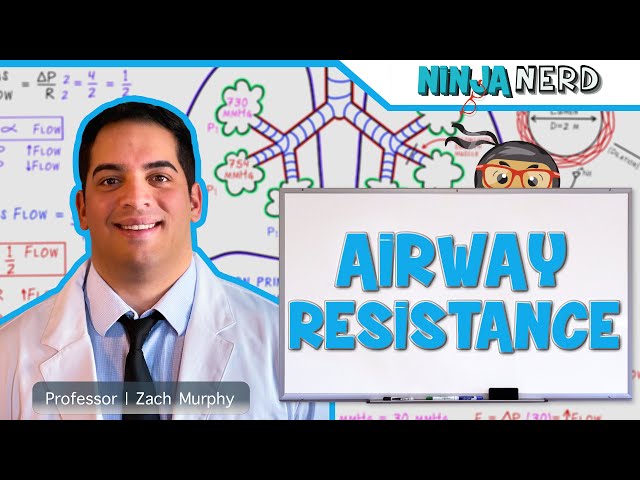 Understanding Airway Resistance: The Key to Respiratory Function | Galaxy.ai | Galaxy.ai