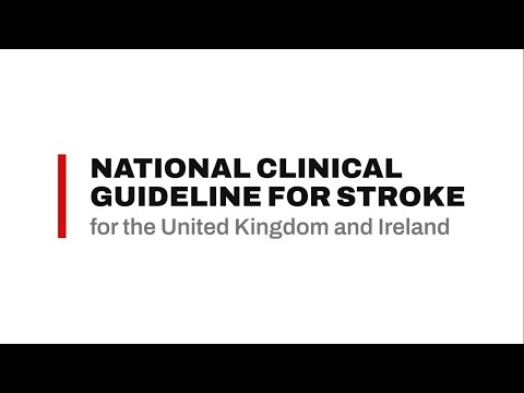 National Clinical Guideline for Stroke 2023 edition