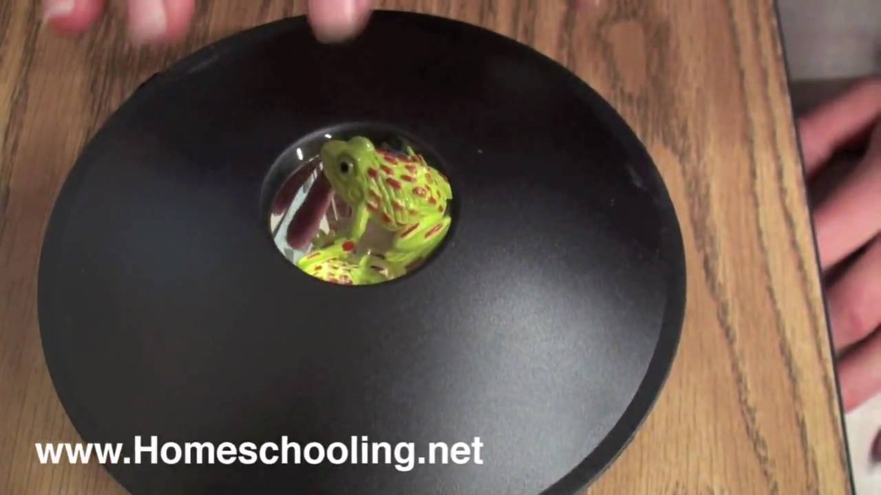 3-D Mirascope--Make Your Own Holograms!