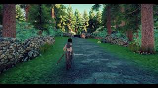 WIP Vanargand Animations - Dual Wielding Attacks at Skyrim Special ...