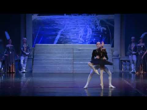 Het Zwanenmeer | Ballet van de Staatsopera Bulgarije Stara Zagora | di 9 jan 2024 | Isala Theater