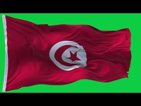 🚩Tunisia Flag Waving | GREEN SCREEN & CHROMA MATTE🚩