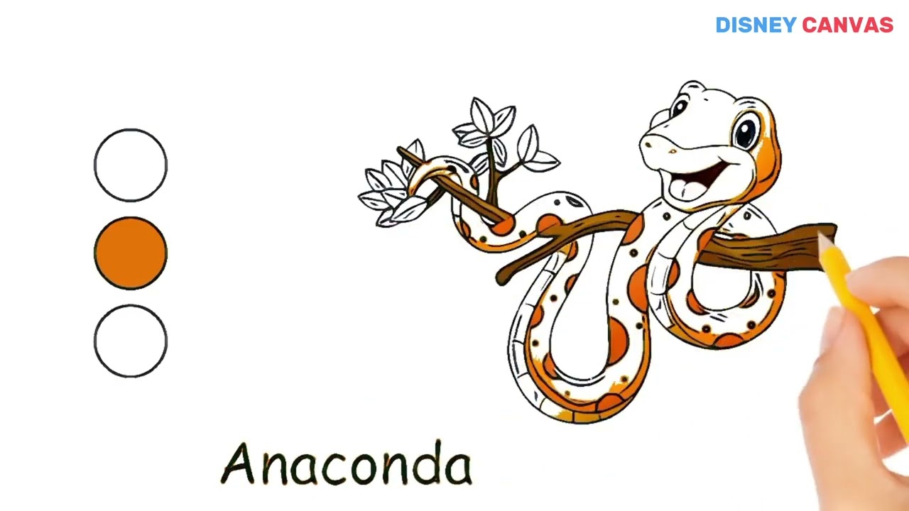 Drawing and Coloring Anaconda For Kids