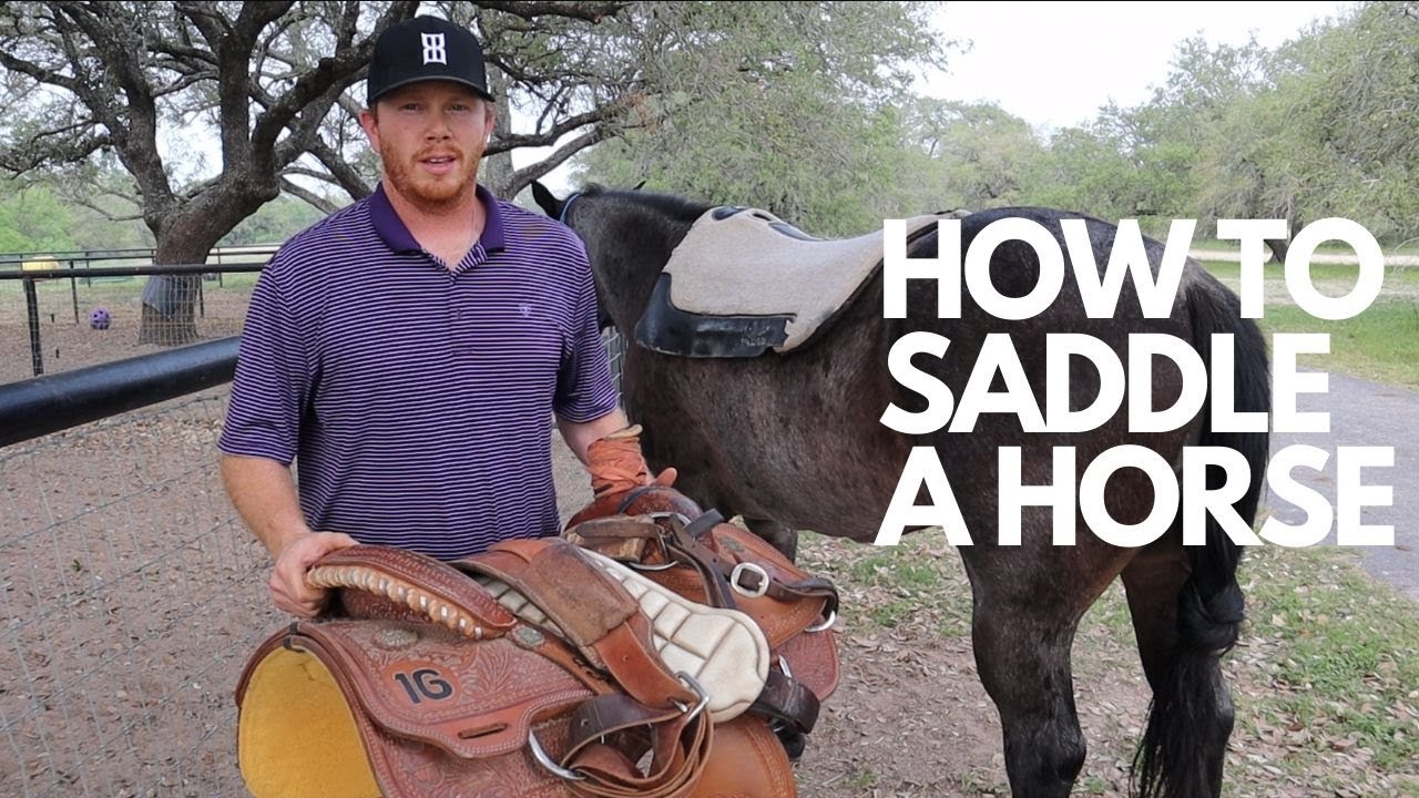 HOW TO SADDLE A HORSE // WESTERN & ENGLISH.