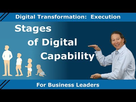 Digital Performance Evaluation / Evaluate Digital Performance Level (For Business Leaders)