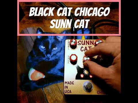 Black Cat Chicago Sunn Cat (recreation of the Sunn Beta | Reverb