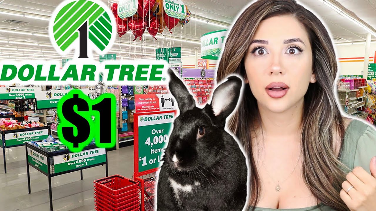 Things You Can Buy at DOLLAR TREE for Rabbits!