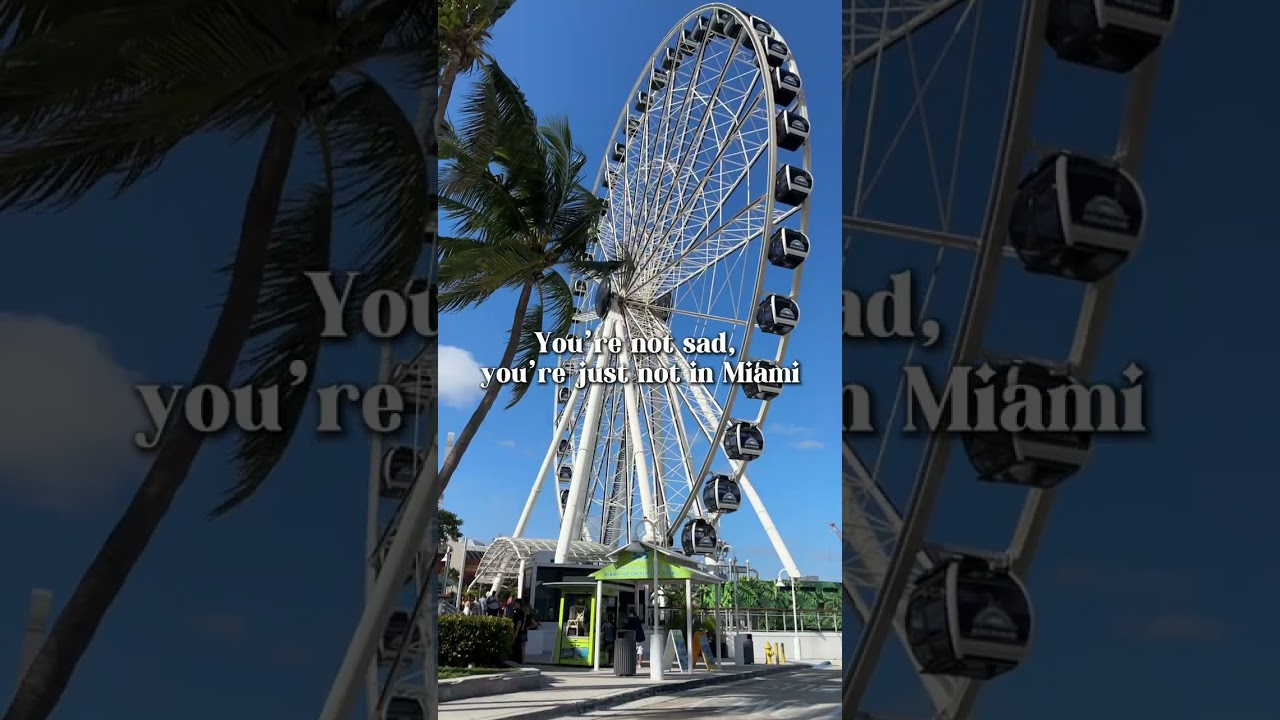Visit Miami's Best Attractions | Miami & Miami Beach