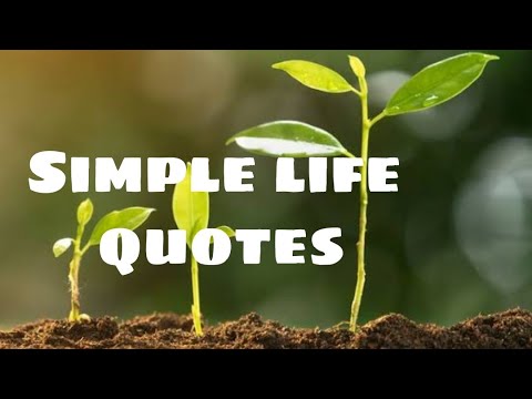 Life Quotes | Motivational Quotes I Life changing quotes | Tea Party