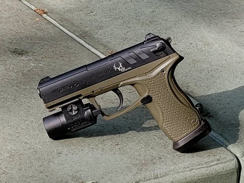 Gamo C15 Blowback Bone Collector Review