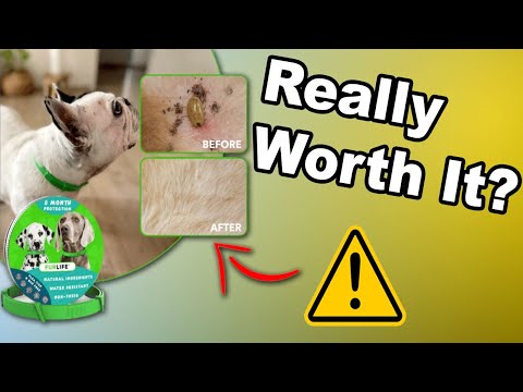 Furlife Reviews - Does it Work Or A Scam?
