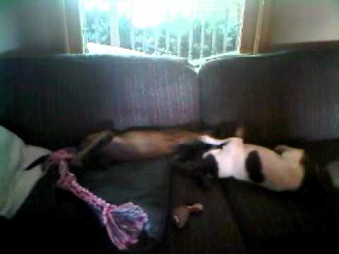 VID 00001-20110716-0838.3GP