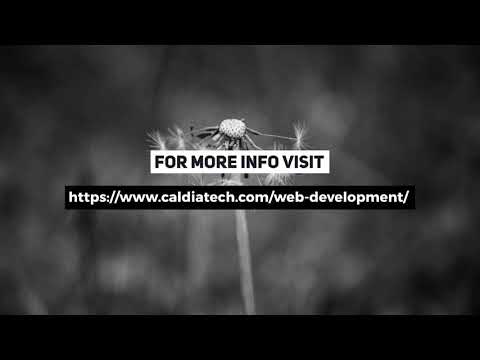 Web Design Company San Diego