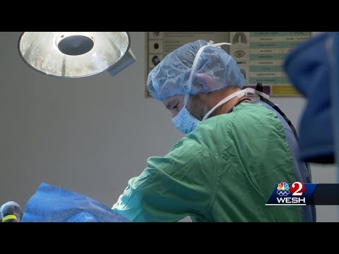 Central Florida feels the impact of veterinarian shortage