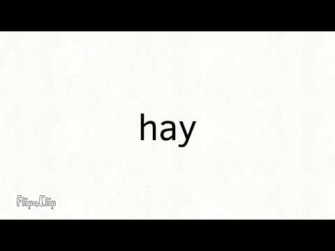 Words that have three letters in it. Words for kids