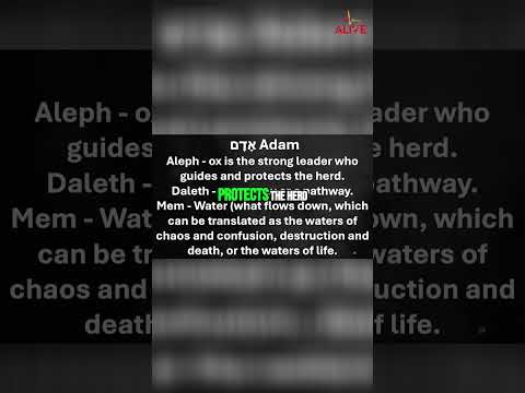 Adam: Hebrew Meaning & Humanity's Fall