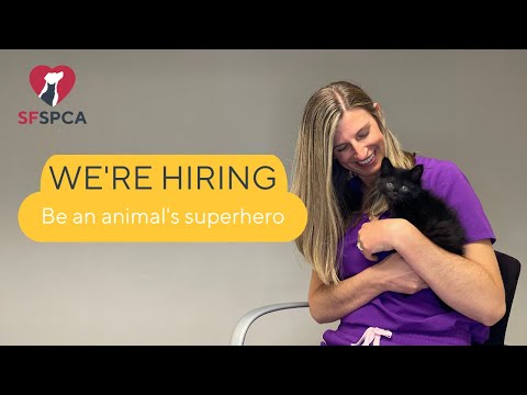 Help Pets and People | SF SPCA Careers in Veterinary Medicine