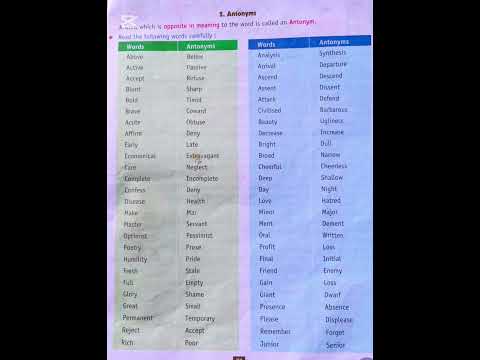 WORD ANTONYMS|VIVID FUTURE|