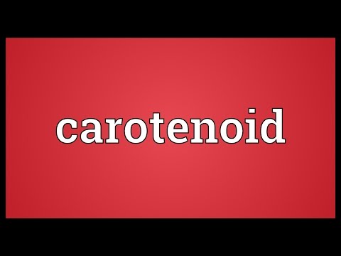 Carotenoid Meaning