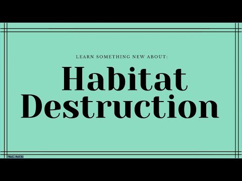 Habitat Destruction