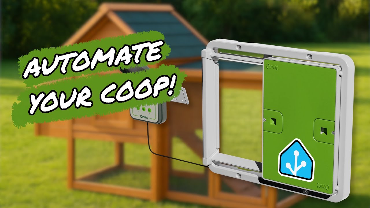 I Automated My Chicken Coop With Home Assistant — Here’s How It Works