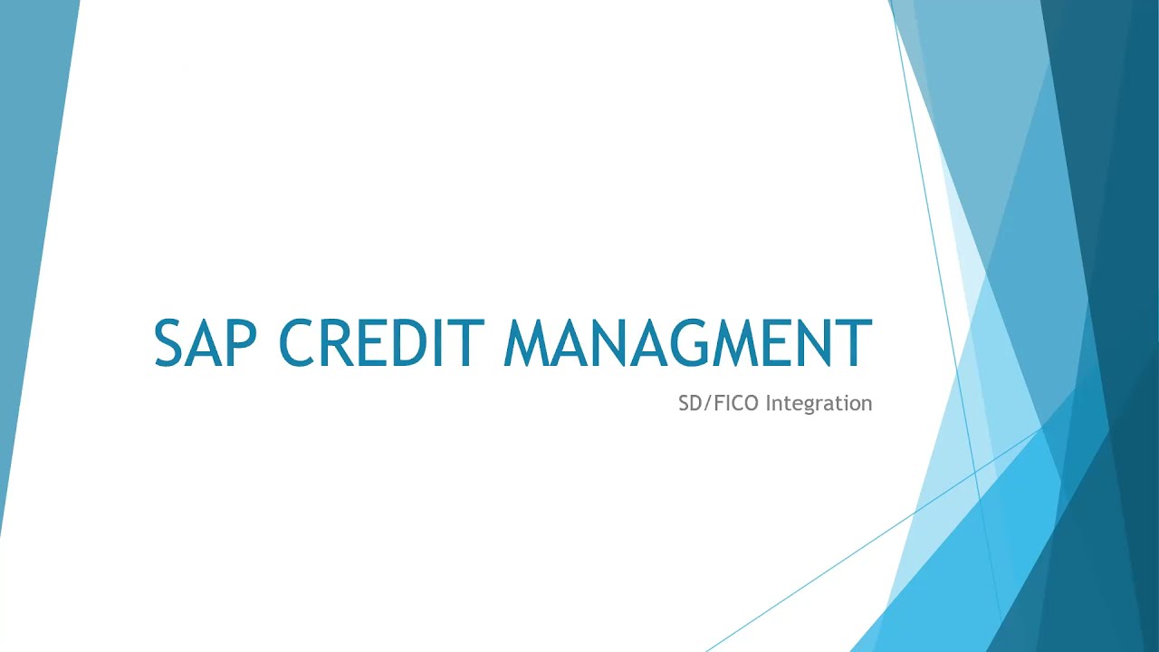 SAP SD CREDIT MANAGEMENT INTRO