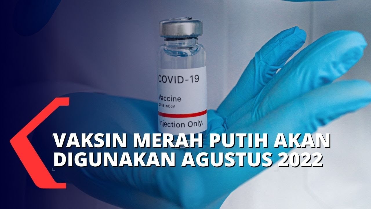 BPOM Berikan Izin Uji Klinis Vaksin Merah Putih pada Manusia