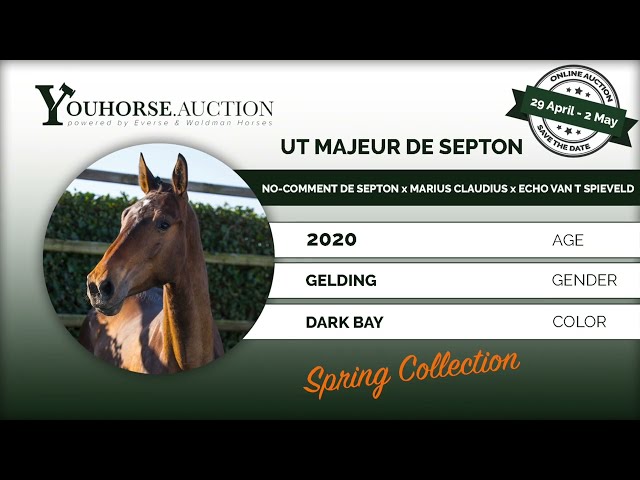 Youhorse.auction | Ut Majeur de Septon