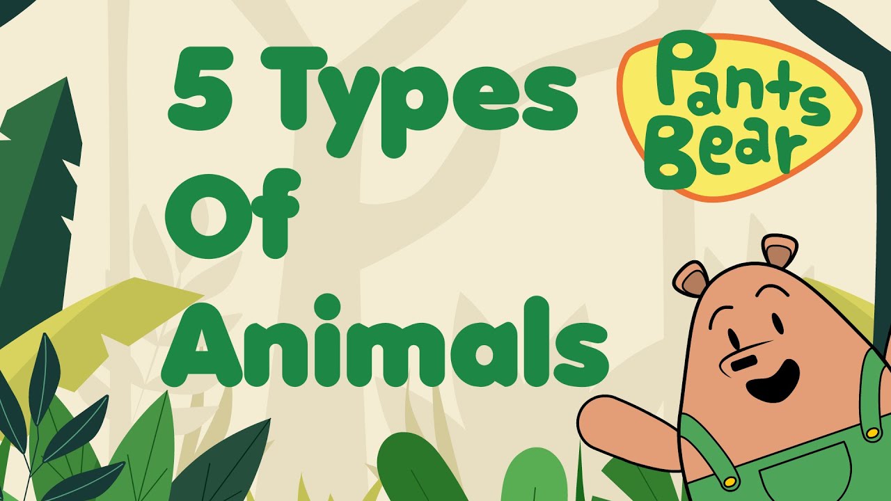 Animal classification for Kids |  Mammals, Birds, Reptiles, Amphibians & Fish | Animal Groups