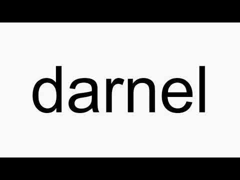 How to pronounce darnel