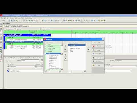 Primavera P6 to show predecessor and successors in activity table