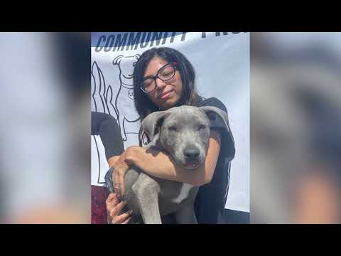Clinic Champions | Lahari Kankar, RVT, Builds Community Through Veterinary Care in Los Angeles πΆπ±