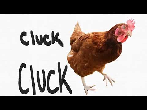 Phonics Fun!! Words with the /cl/ sound: cluck, clam, cloud, and clap. What other words do you know?