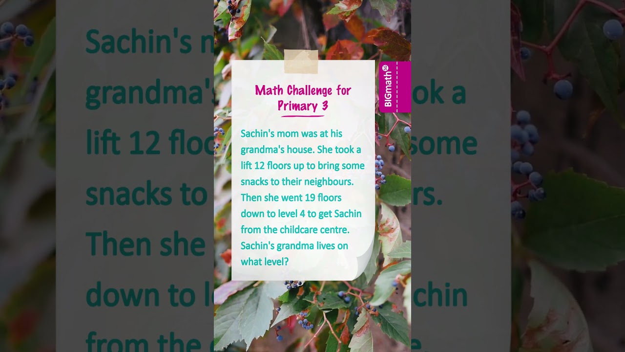 Grade 3 Math Quiz 145: Solve the Primary 3 Word Problem